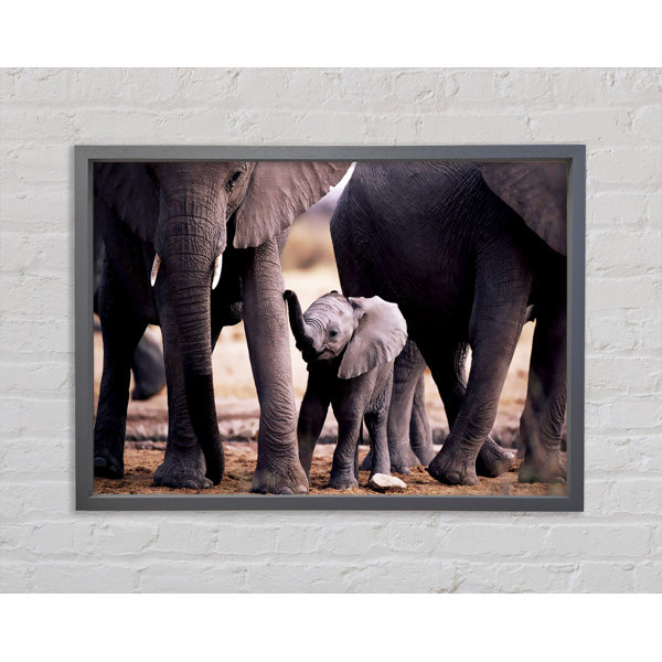BohoLiving Baby Elefant Liebe - Einzelner Bilderrahmen Kunstdrucke auf Leinwand | Wayfair.de